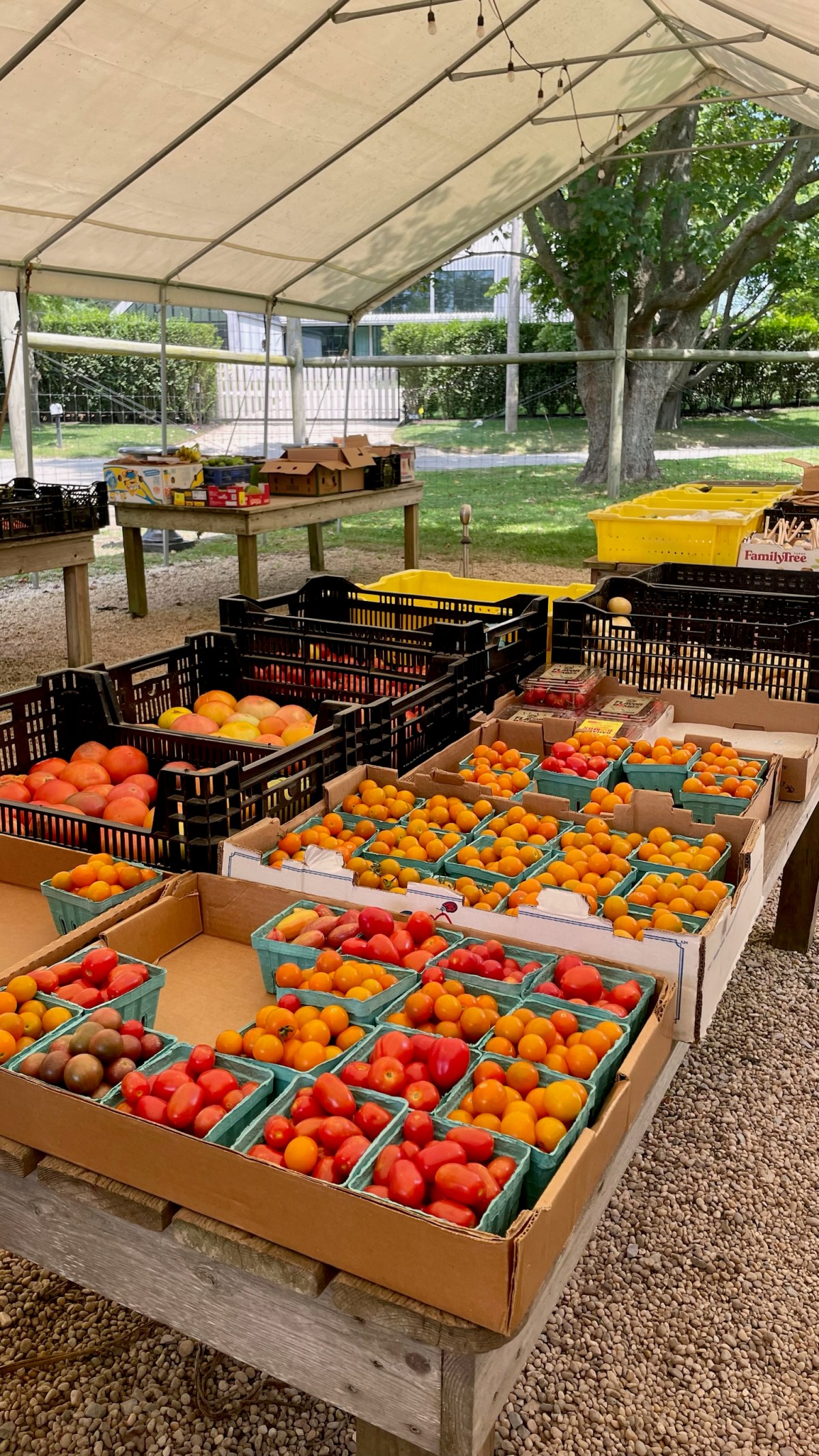 The 5 Best Farmstands in the Hamptons: Fresh Produce, Baked Goods ...